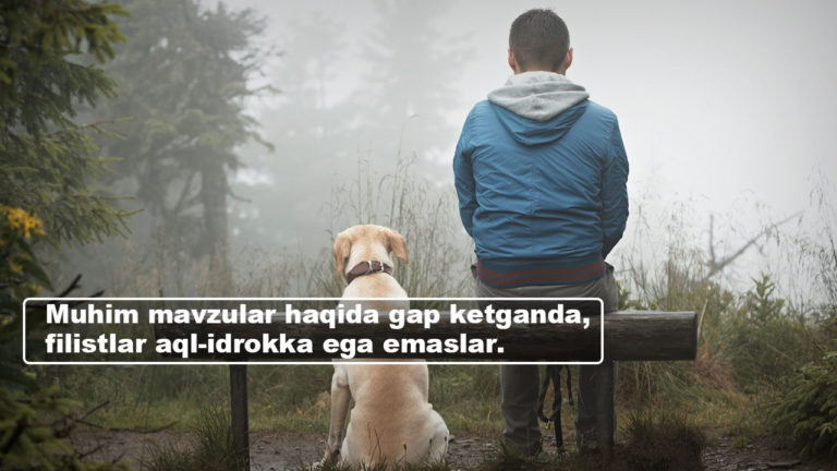 ENG ZO'R TOP-50 manoli, tasirli, xayotiy statuslar to'plami - HAQIDA